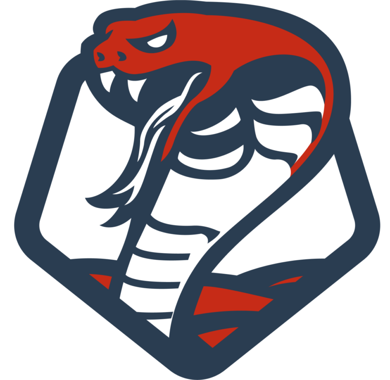 Canada Chessbrahs - Pro Chess League